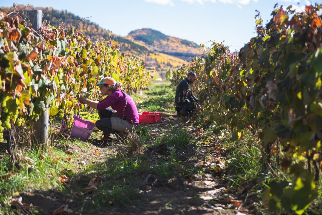 La Famille Migneron de Charlevoix | Agence de ventes DCM